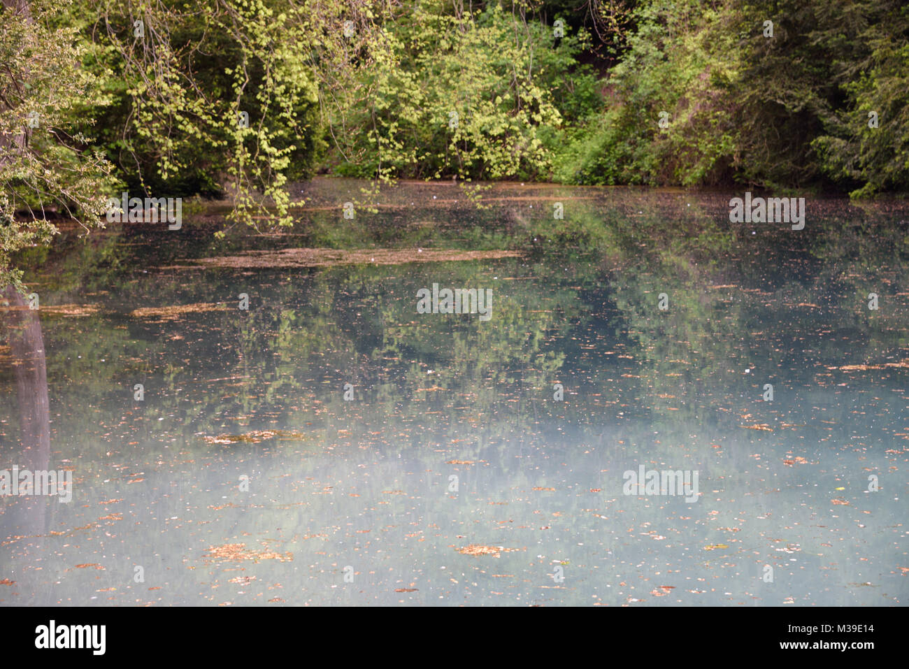 Silent pool gin hi-res stock photography and images - Alamy