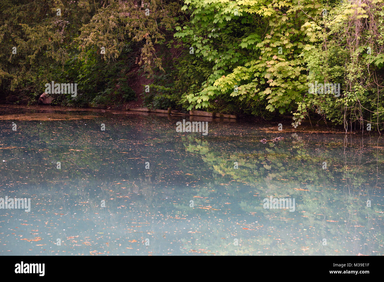 Silent pool gin hi-res stock photography and images - Alamy