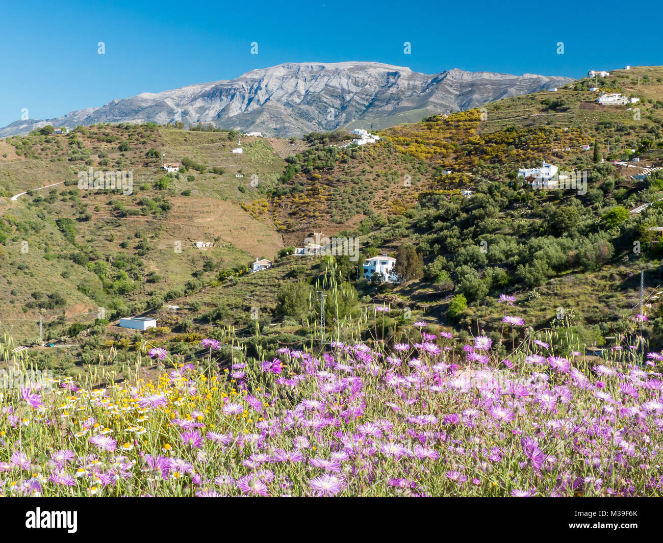 The Axarquia region of Spain: the mountain La Maroma and the Arroyo de ...