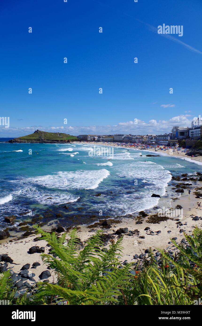 Summer Seascape Photo, looking along Porthmeor Beach over a Fern ...