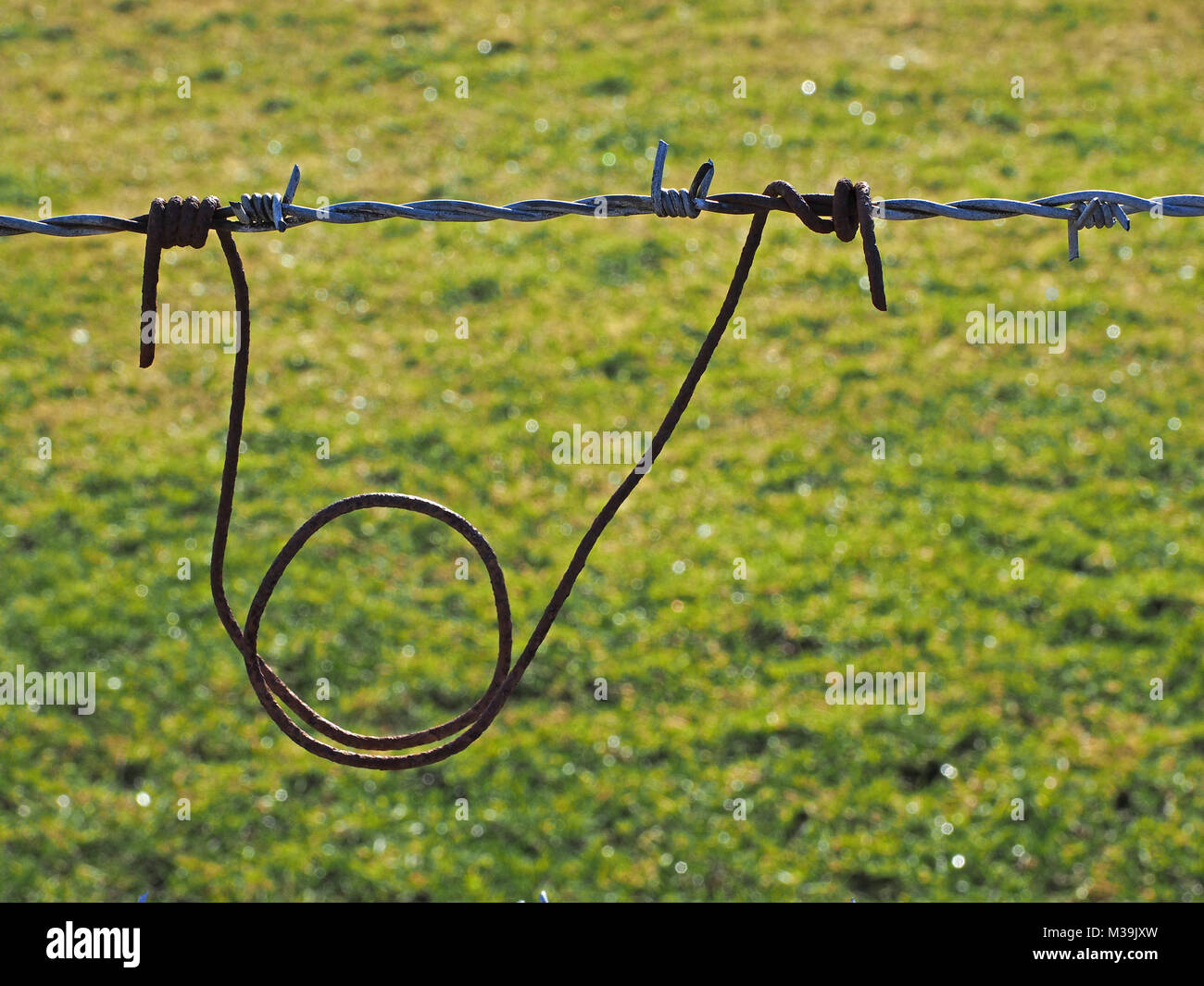 Device tethering hi-res stock photography and images - Alamy