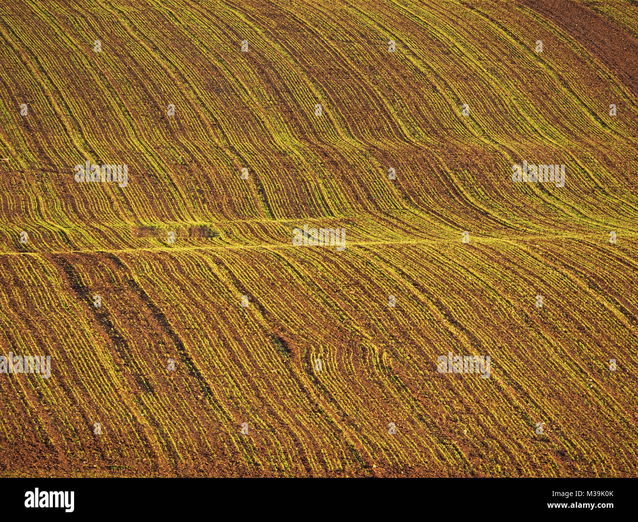 Wiggly lines hi-res stock photography and images - Alamy