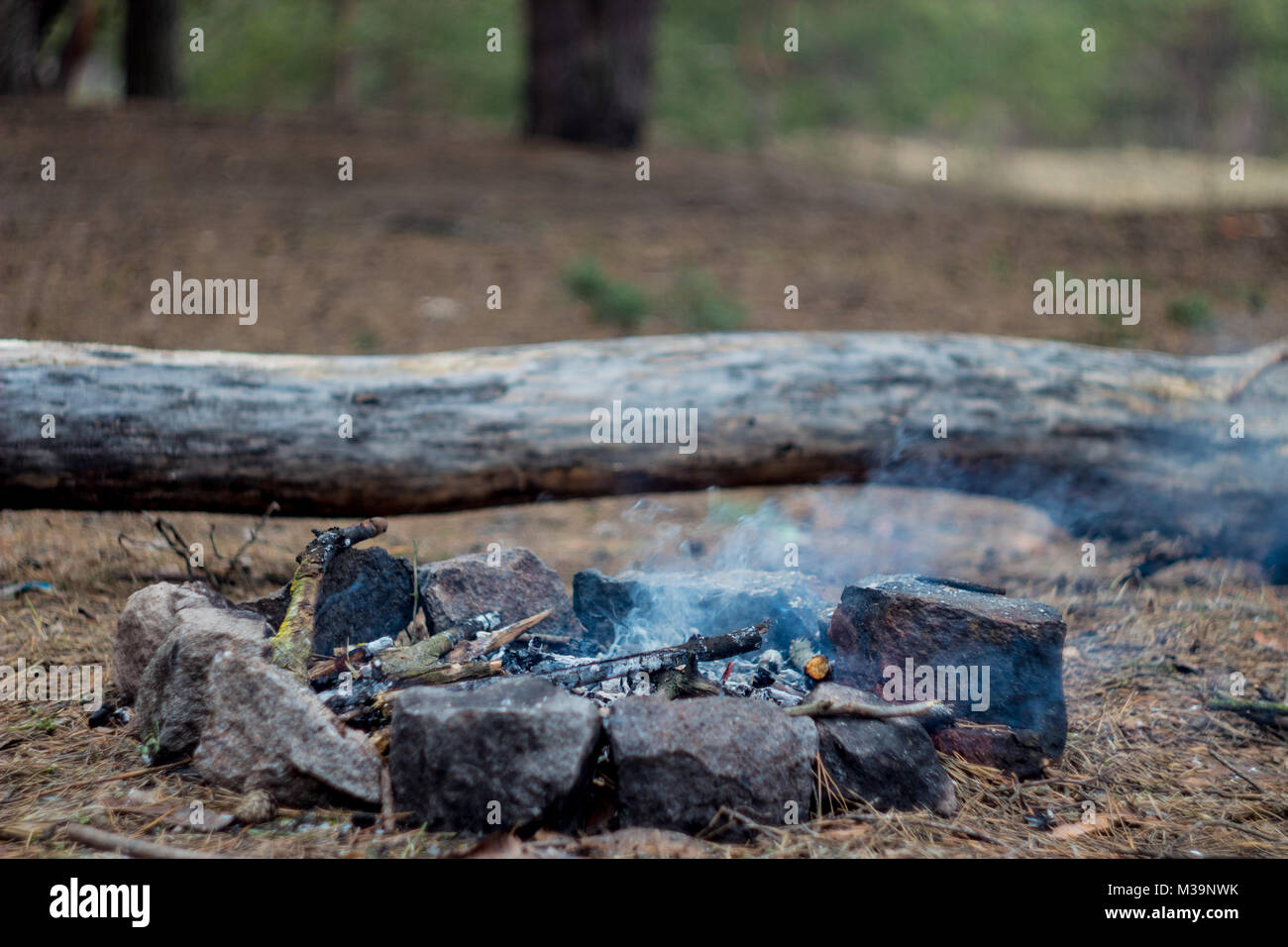 An extinct fire in the forest Stock Photo - Alamy