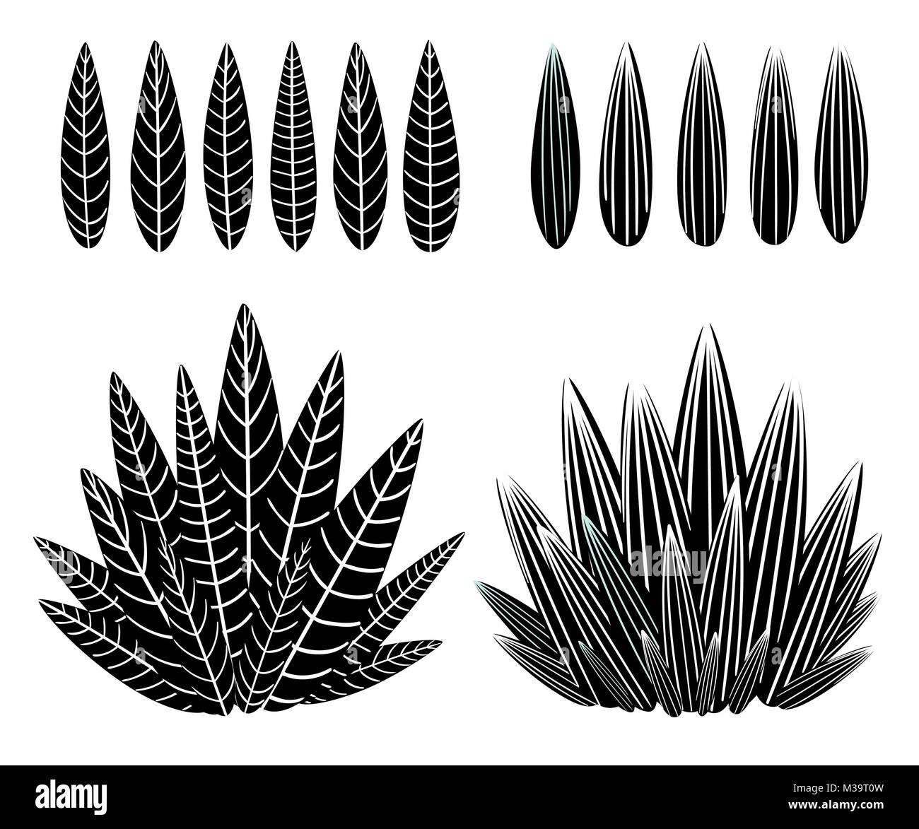 Set with floral elements and leaves.decorative elements for your design ...