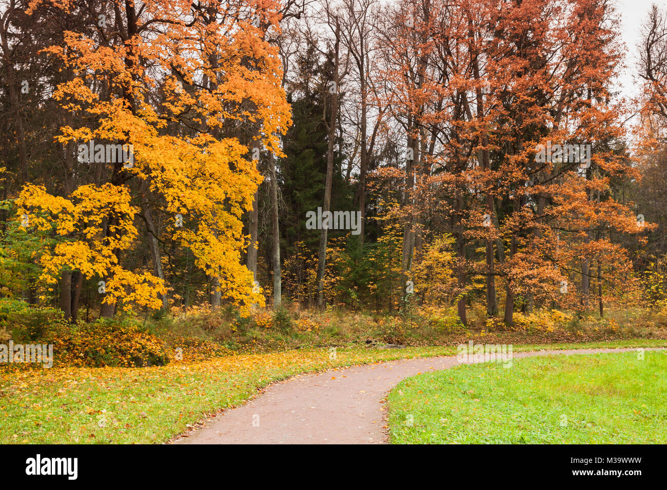 Empty walking path hi-res stock photography and images - Alamy