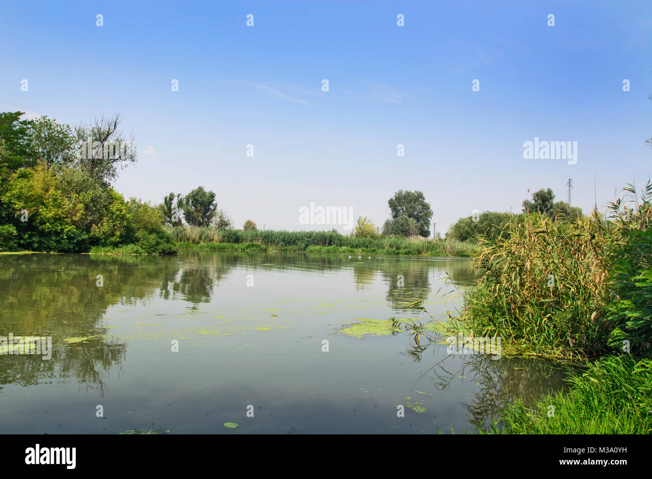 Lazily hi-res stock photography and images - Alamy