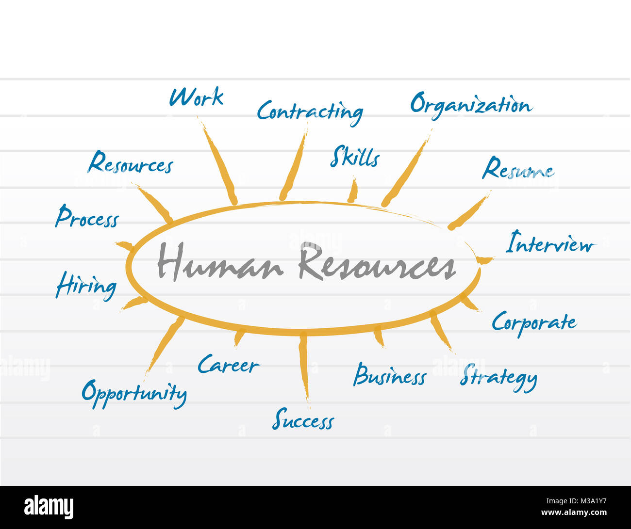 HR human resources diagram model. illustration design graphic Stock ...