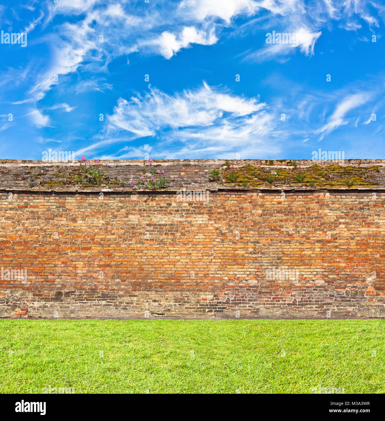 Seamless fence hi-res stock photography and images - Alamy