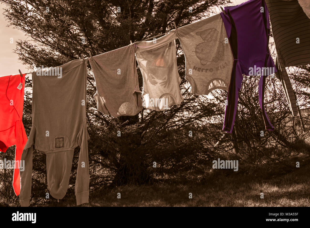 Drying clothes on the lawn hi-res stock photography and images - Alamy