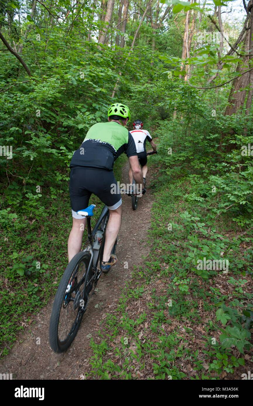 Cycling through the paths in the woods Stock Photo - Alamy