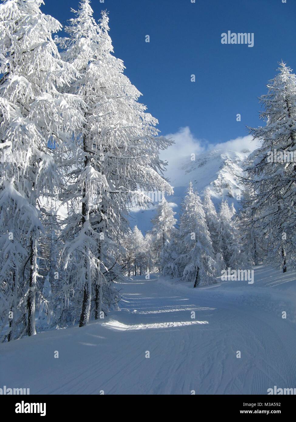 enchanted landscape after heavy snowfall Stock Photo - Alamy