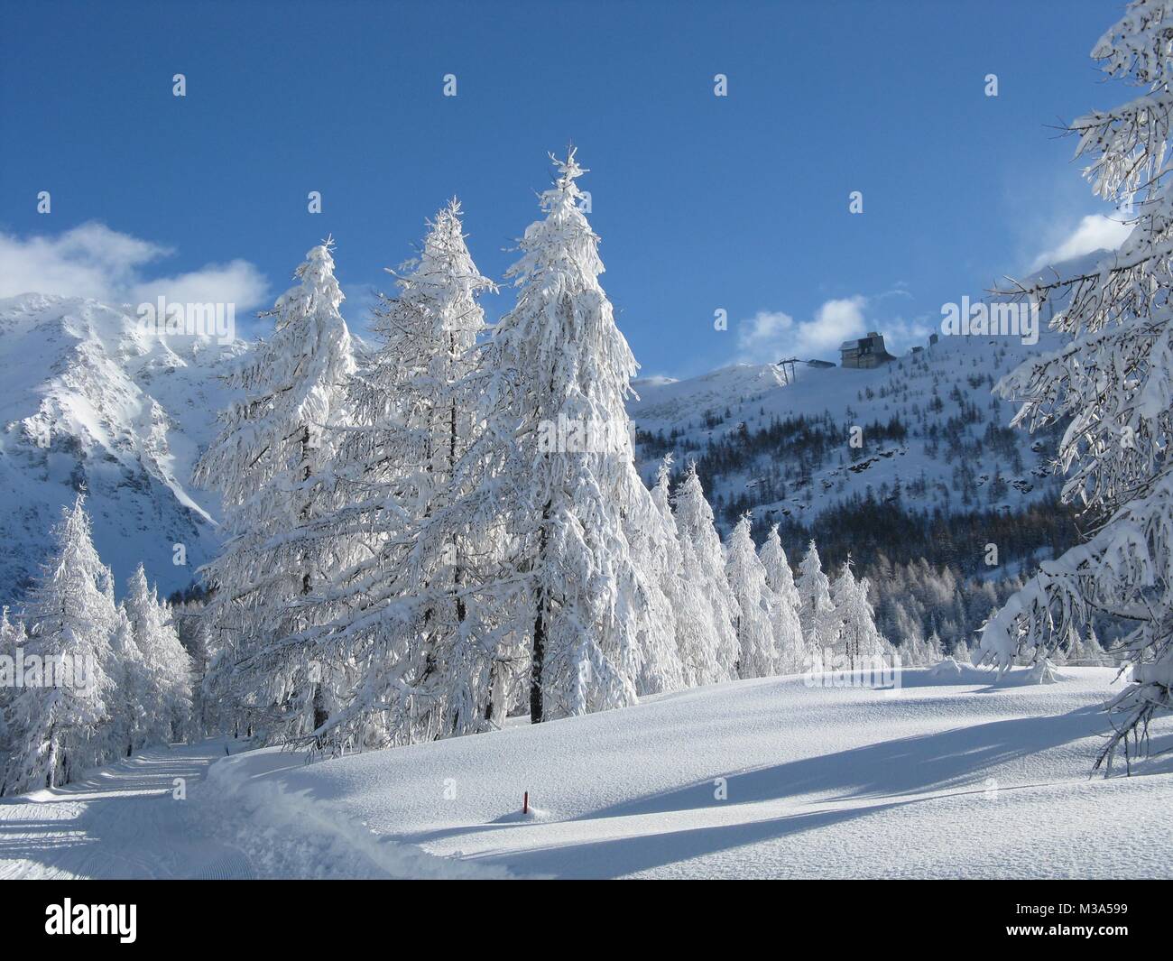 enchanted landscape after heavy snowfall Stock Photo - Alamy