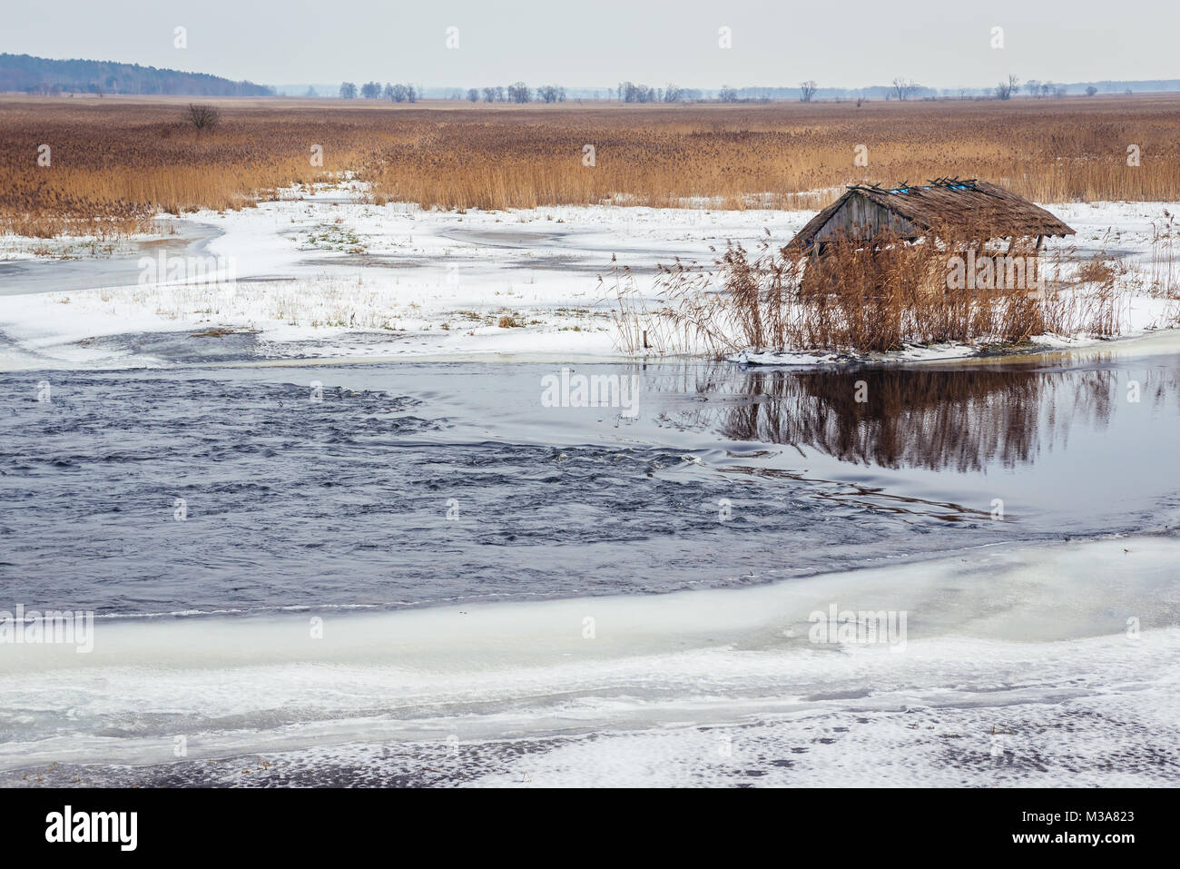 Hay rack on a frozen braided channel of Narew River in Waniewo village ...