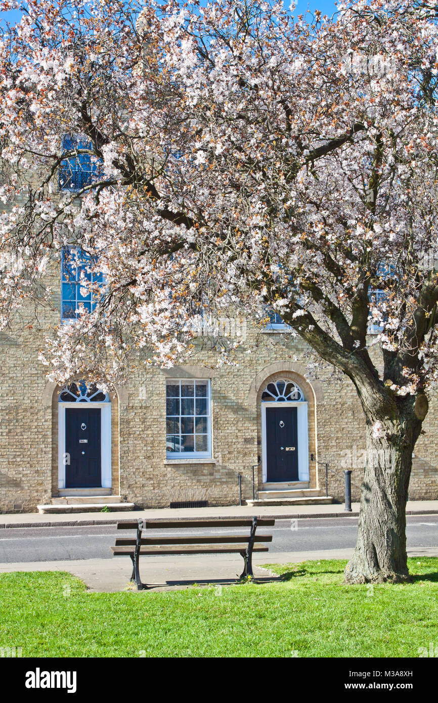 The bench under the blessed apple tree Stock Photo - Alamy