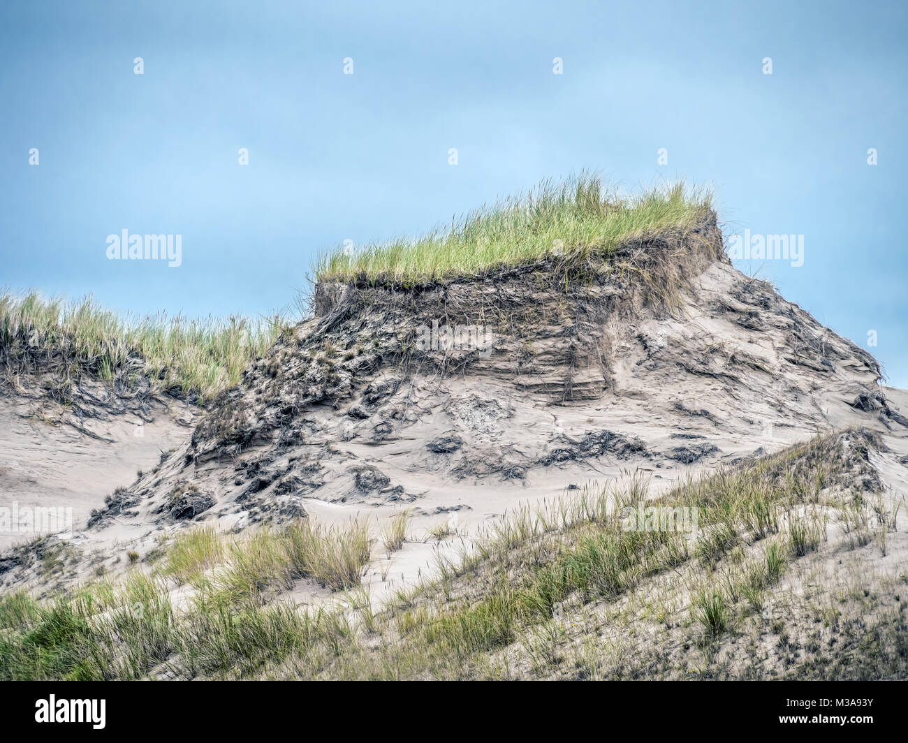 Dune formations hi-res stock photography and images - Alamy