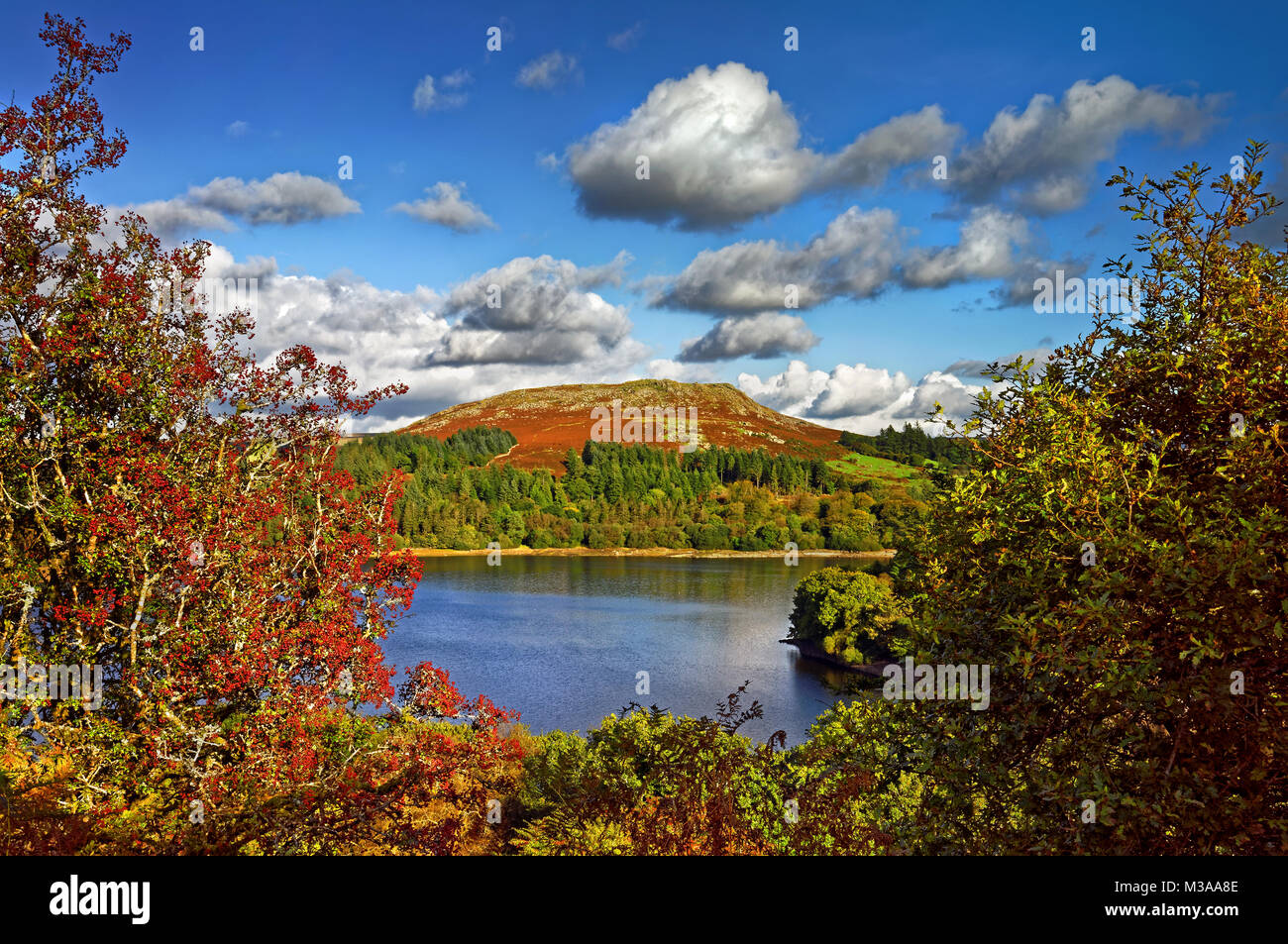 UK,Devon,Dartmoor,Burrator Reservoir & Sheepstor Stock Photo - Alamy