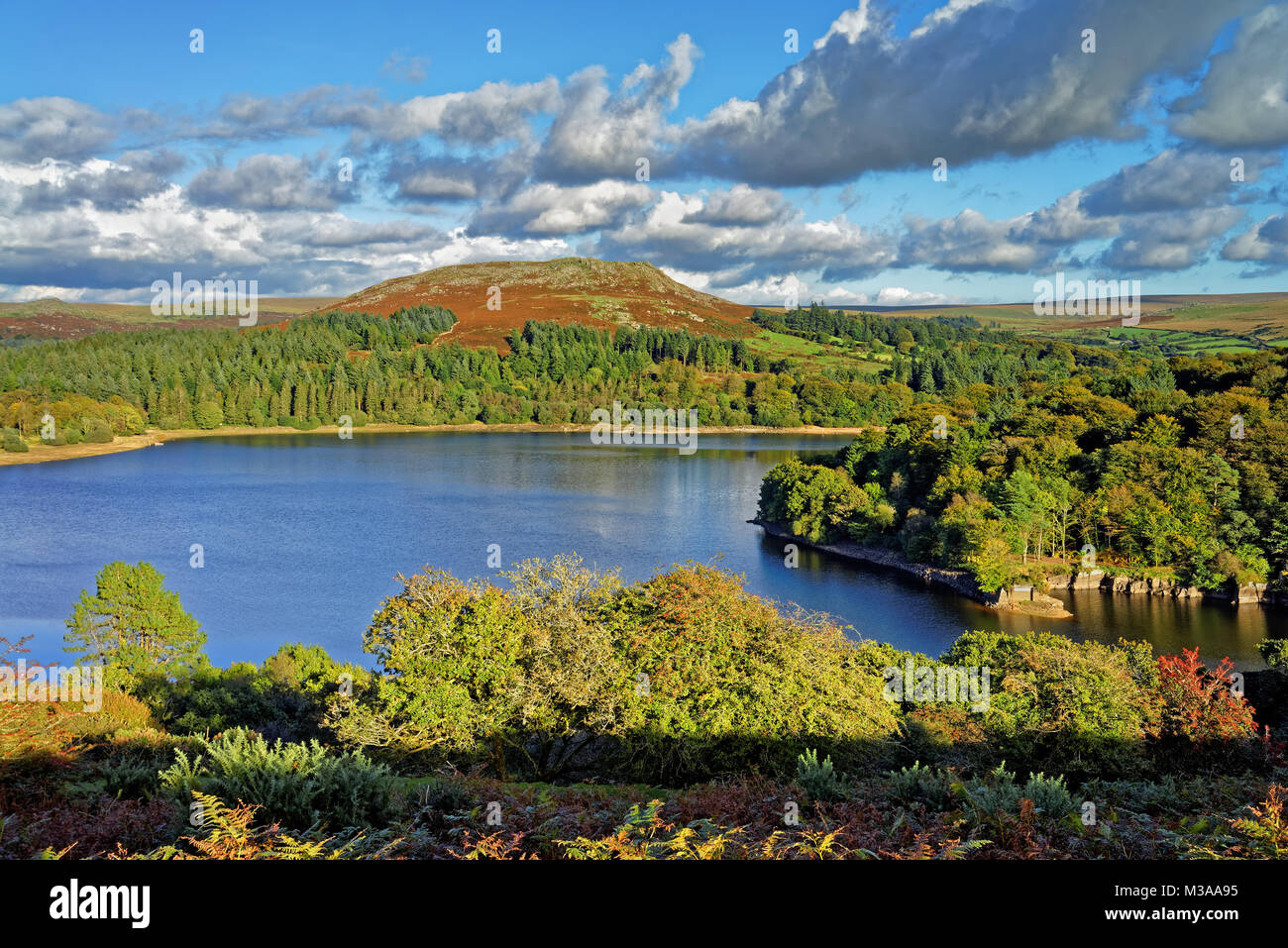 UK,Devon,Dartmoor,Burrator Reservoir & Sheepstor Stock Photo - Alamy