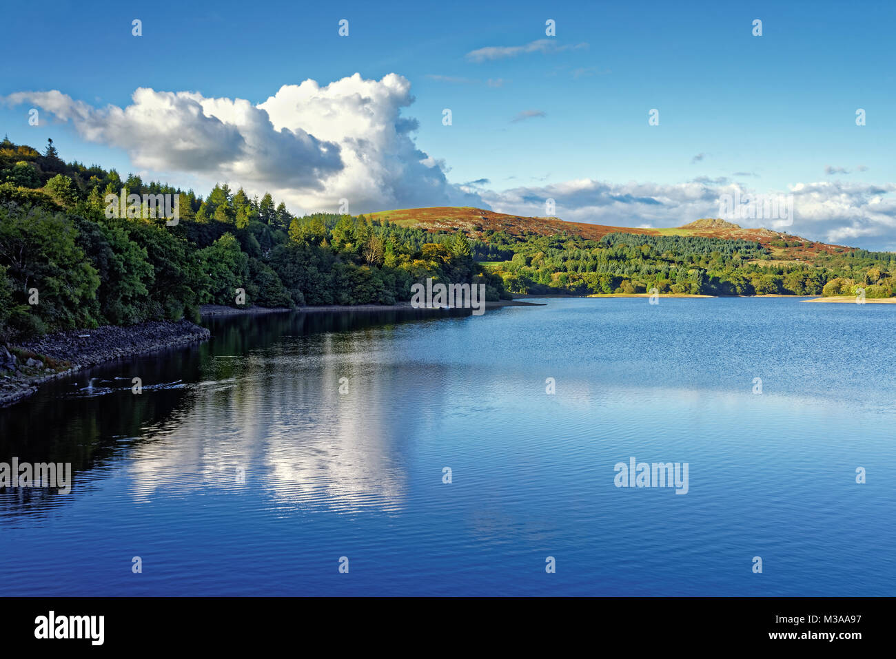 Burrator reservoir, dartmoor, devon hi-res stock photography and images ...
