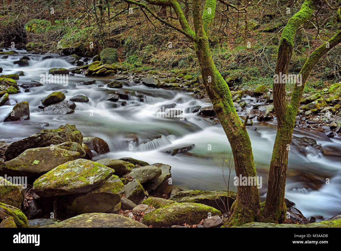 North devon waterfalls hi-res stock photography and images - Alamy