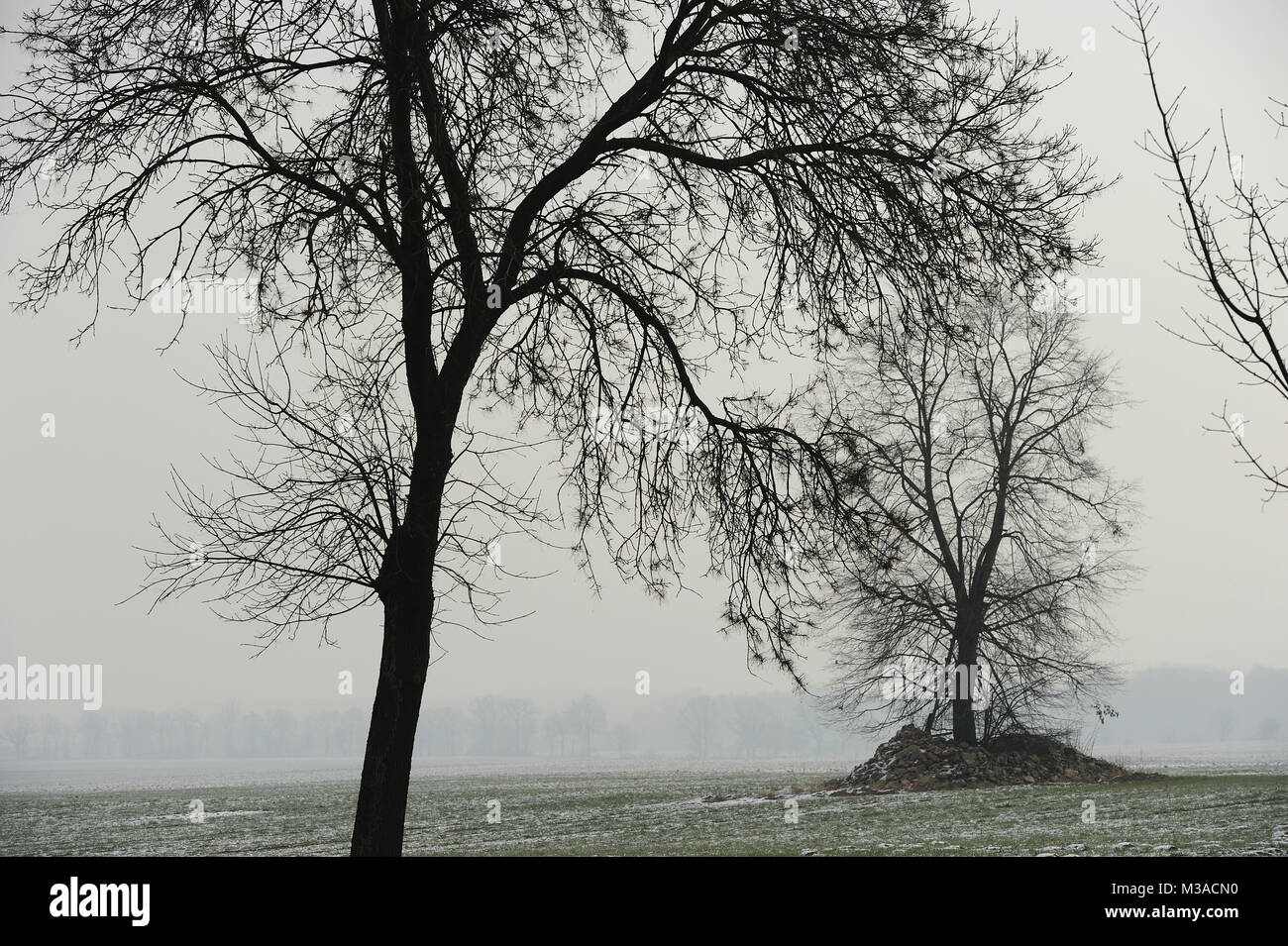 air, weather, earth, spring, winter, natural, animal, outdoor, field ...