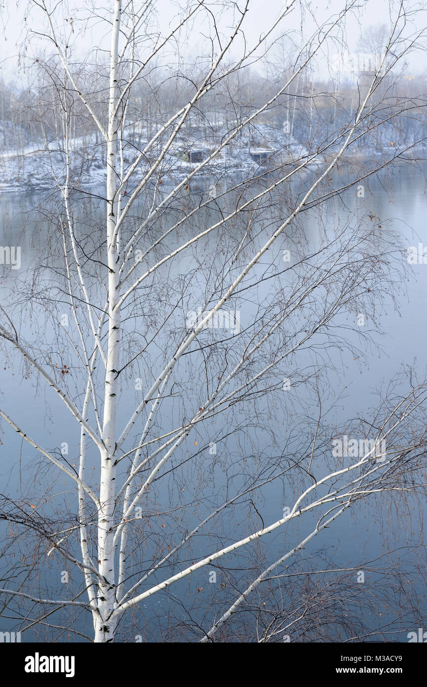 Spring landscape with melting ice on the lake on a clear day Stock ...