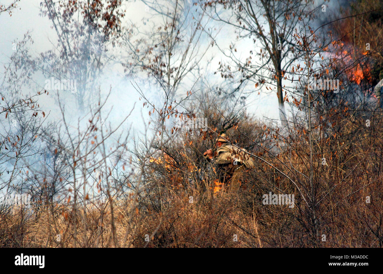 Annatnag, India. 09th Feb, 2018. Massive fire engulfed the forest area ...