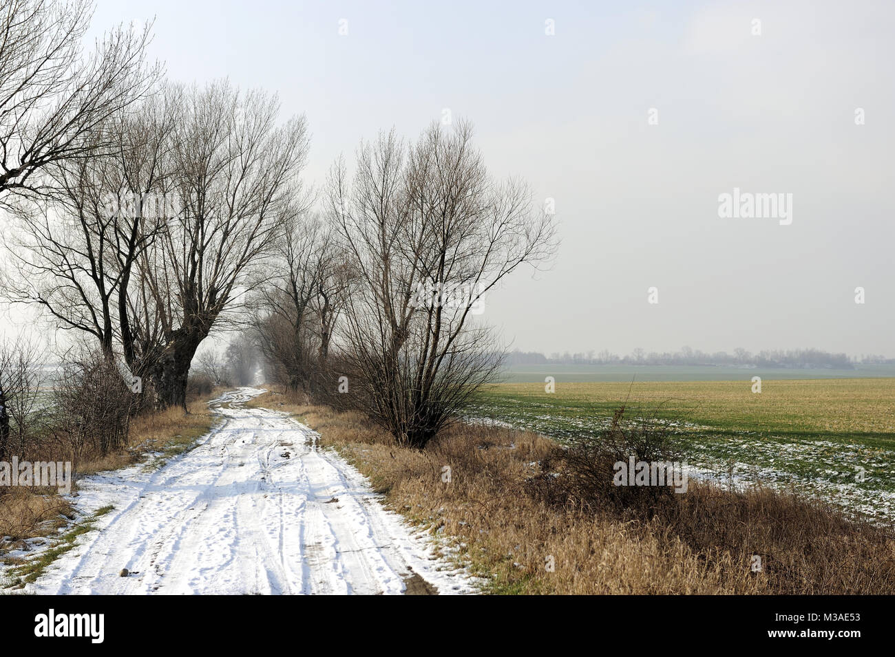 air, weather, earth, spring, winter, natural, animal, outdoor, field ...