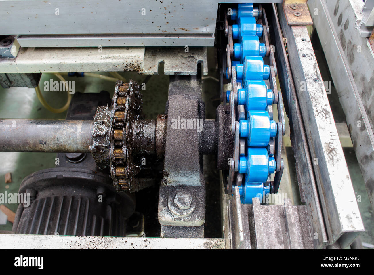 Food chain production hi-res stock photography and images - Alamy