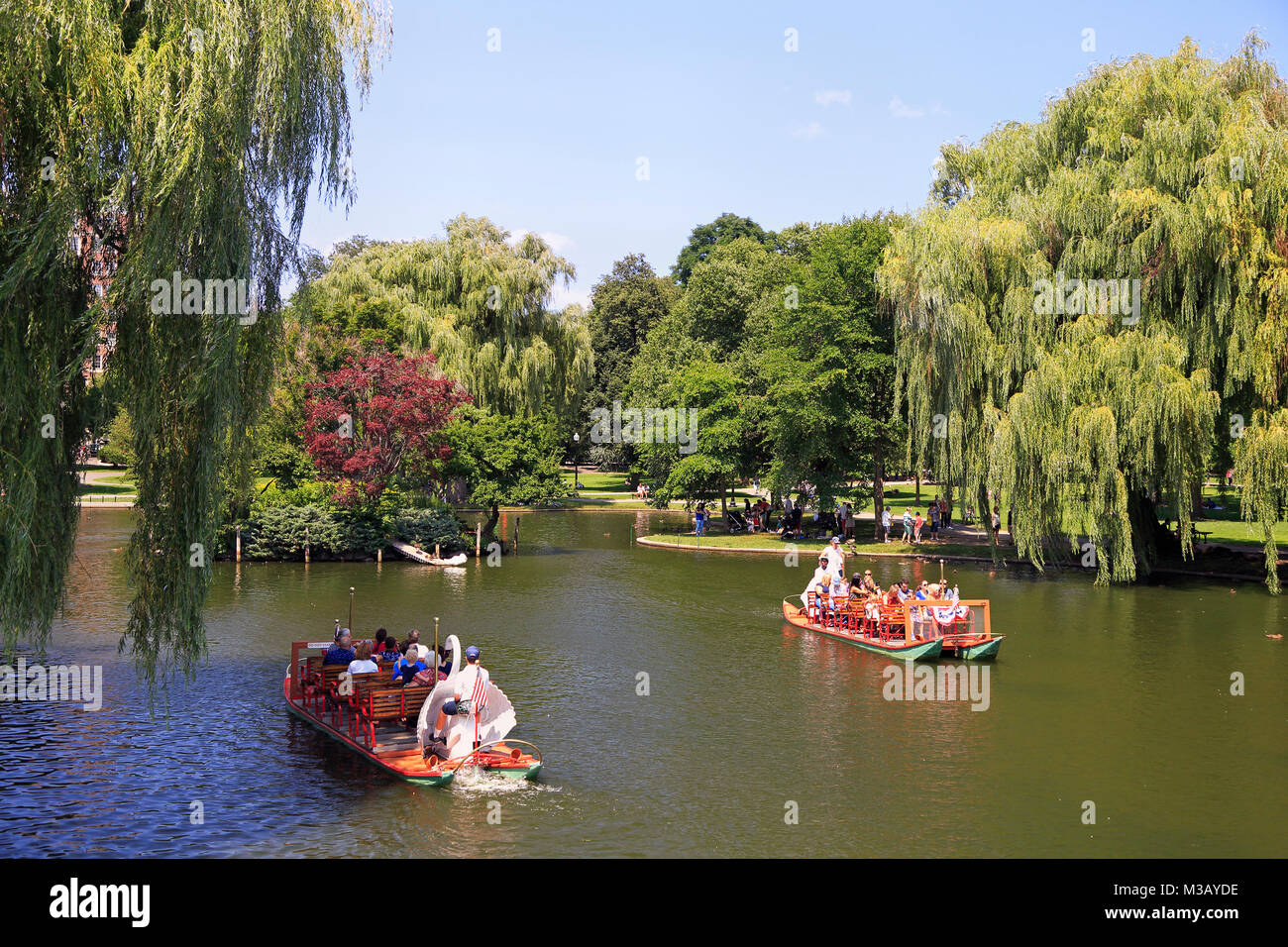 1877 swan lake hi-res stock photography and images - Alamy