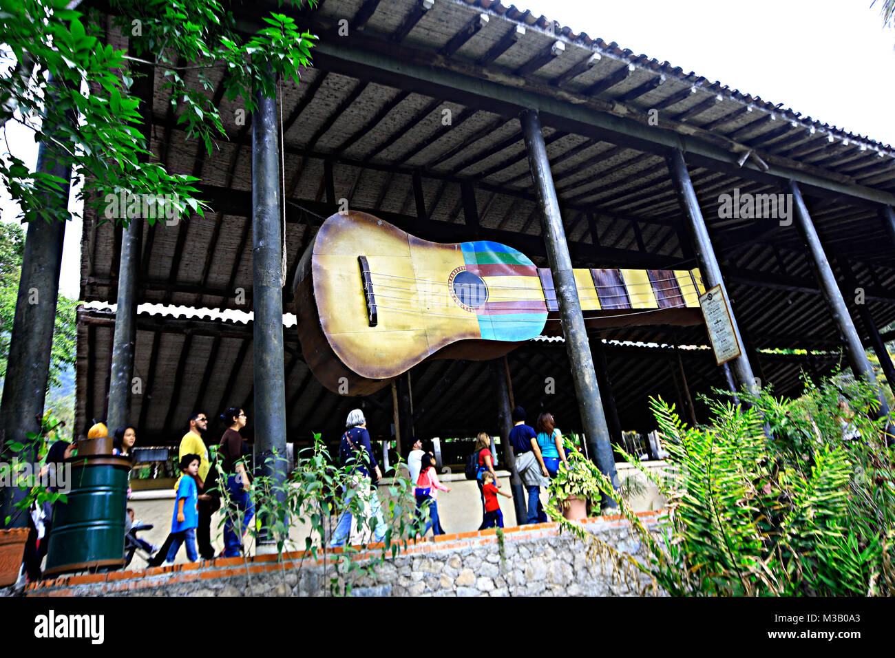 Flora de venezuela hi-res stock photography and images - Alamy
