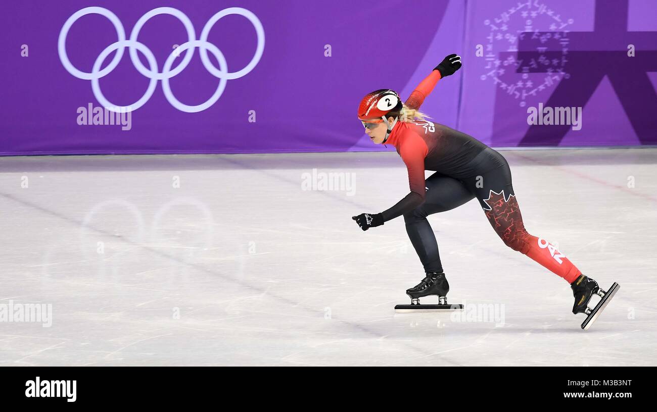 Korea can not dorink hi-res stock photography and images - Alamy