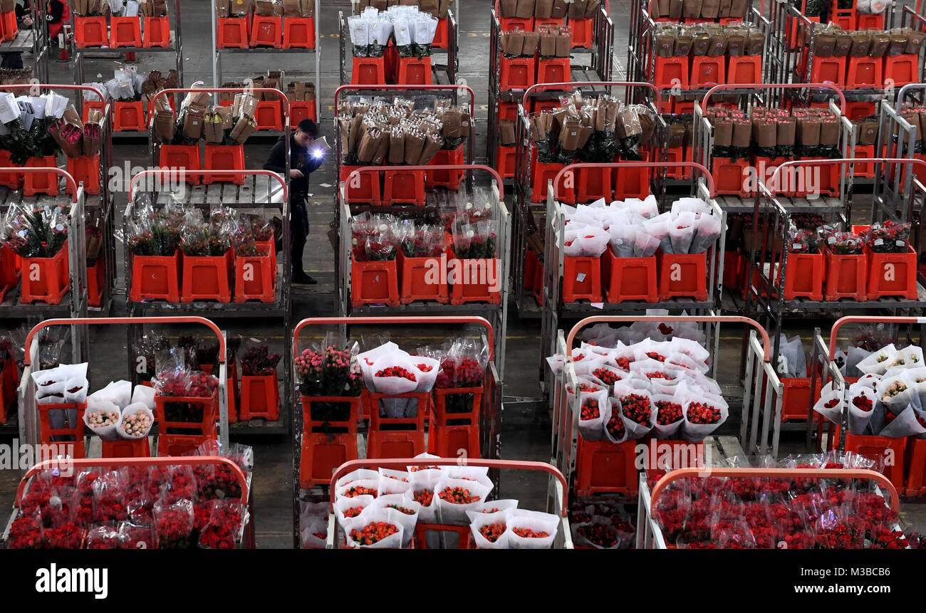 Kunming. 10th Feb, 2018. A trader checks flower quality at Kunming ...