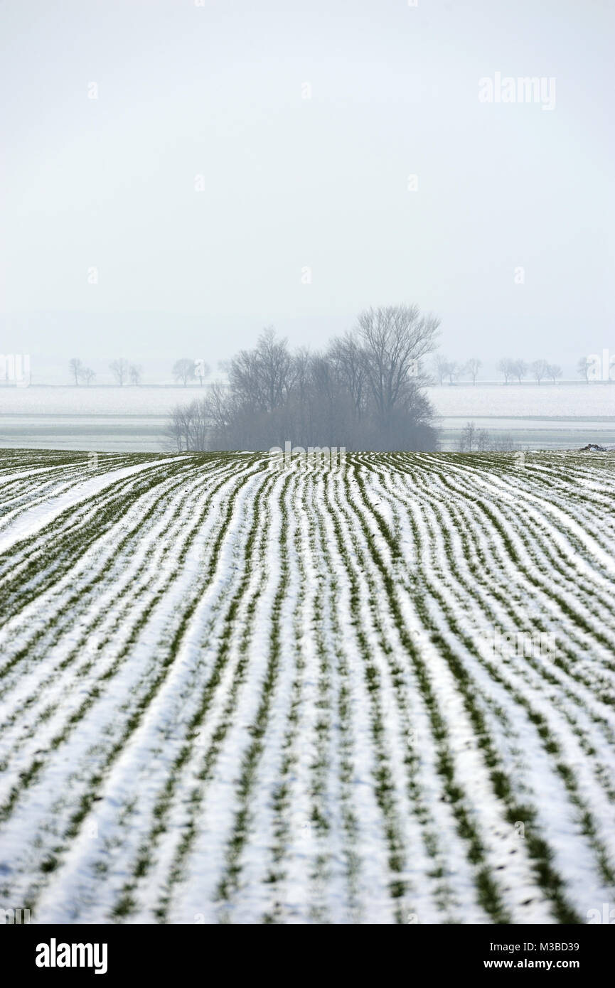 air, weather, earth, spring, winter, natural, animal, outdoor, field ...