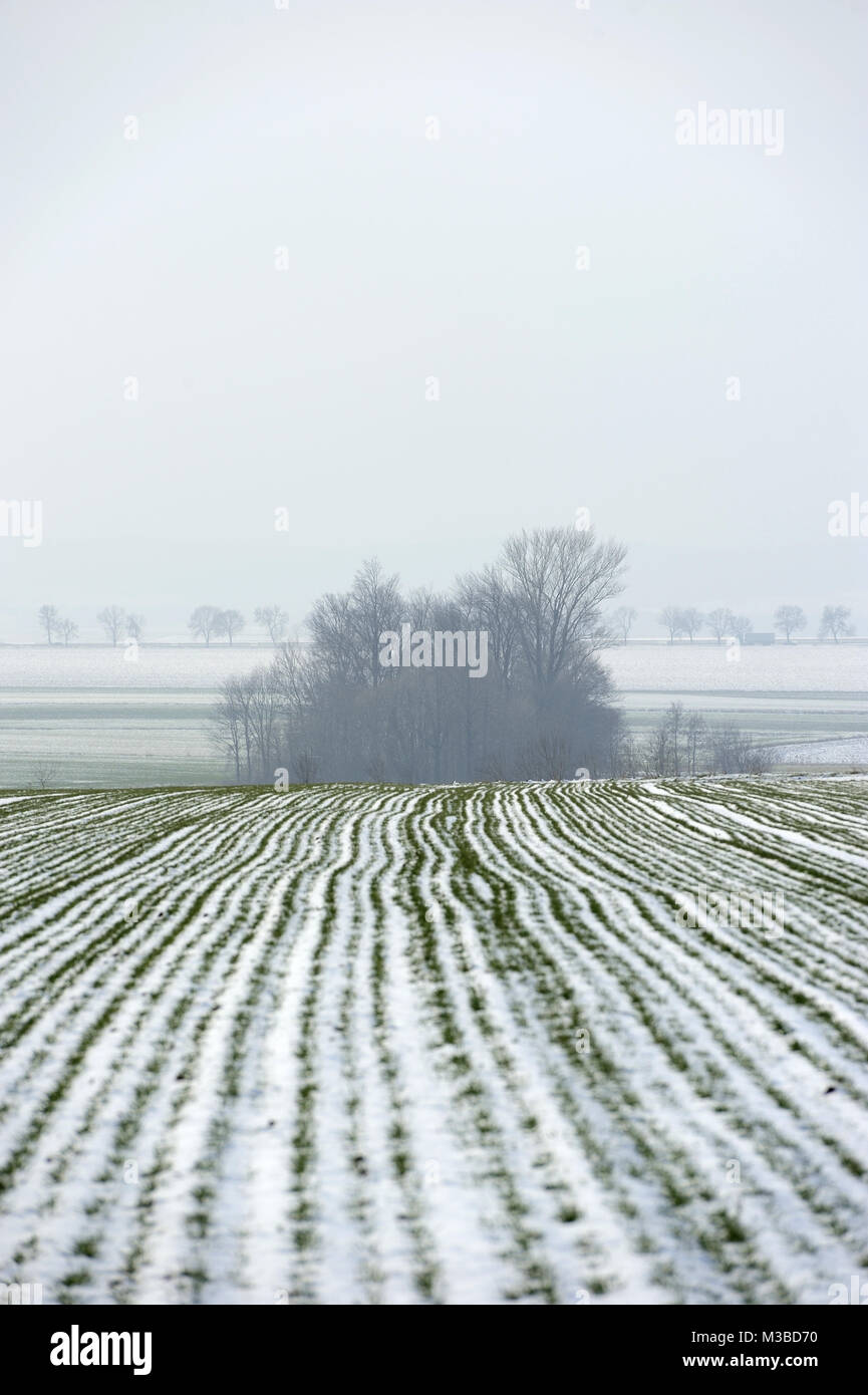 air, weather, earth, spring, winter, natural, animal, outdoor, field ...