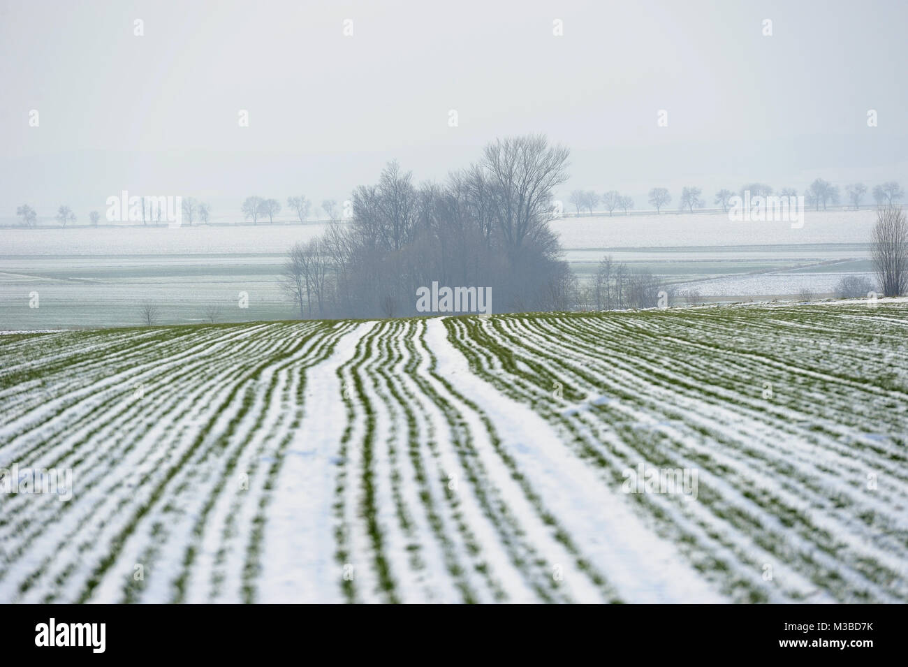 air, weather, earth, spring, winter, natural, animal, outdoor, field ...