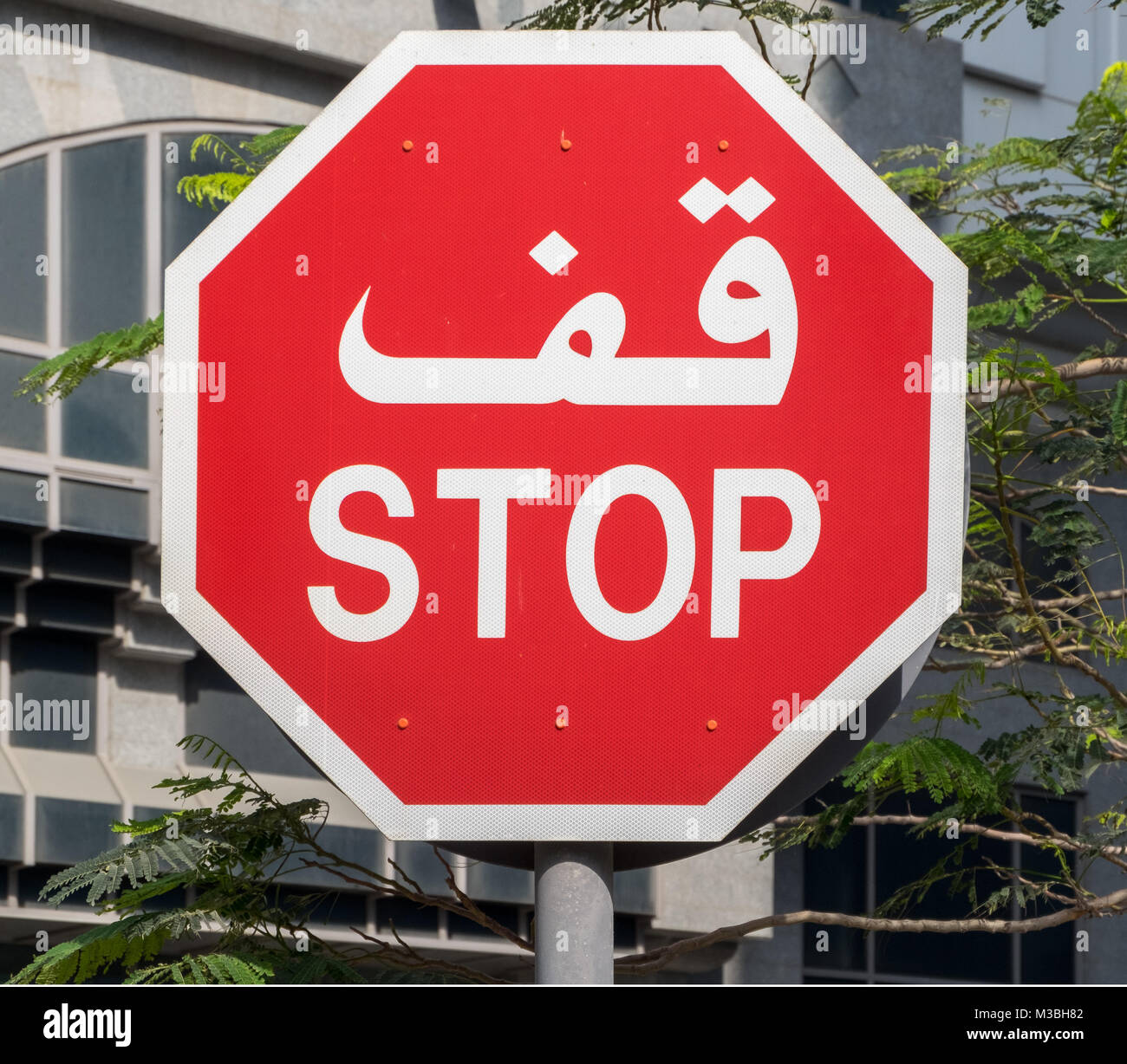 Stop sign in Arabic and English in Abu Dhabi Stock Photo - Alamy