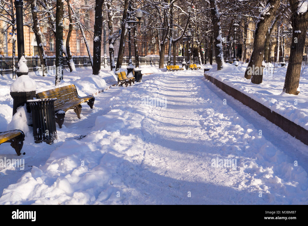 snowy park at winter morning. background, seasonal Stock Photo - Alamy