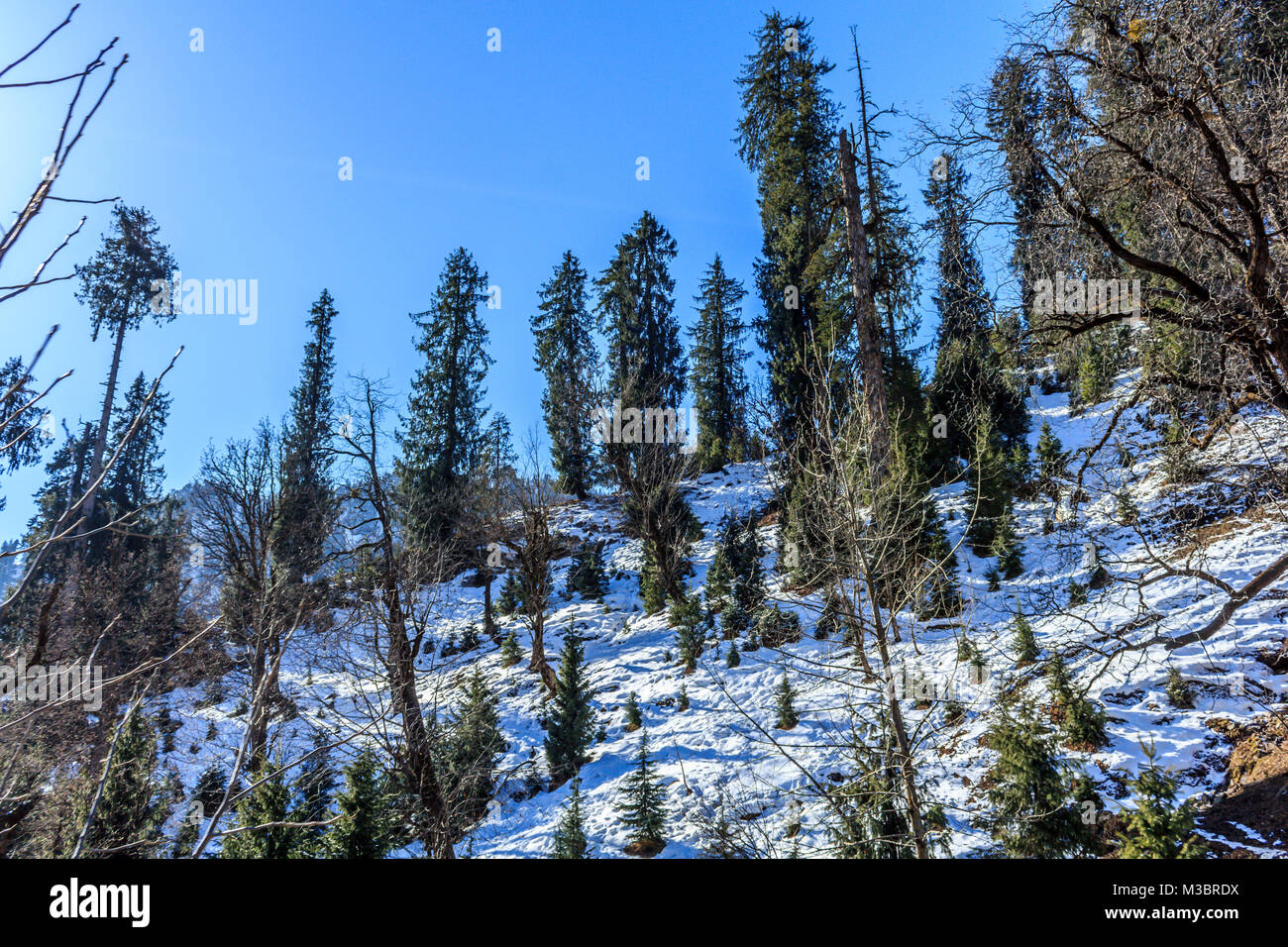 Amazing landscape with mountains sea blue sky sun and beautiful ...