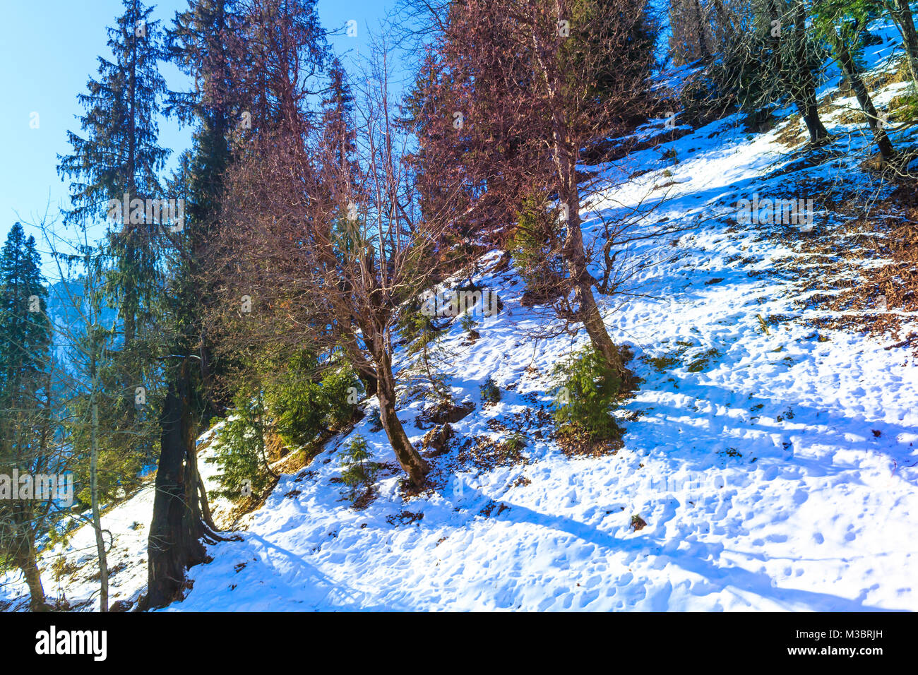 Amazing landscape with mountains sea blue sky sun and beautiful ...