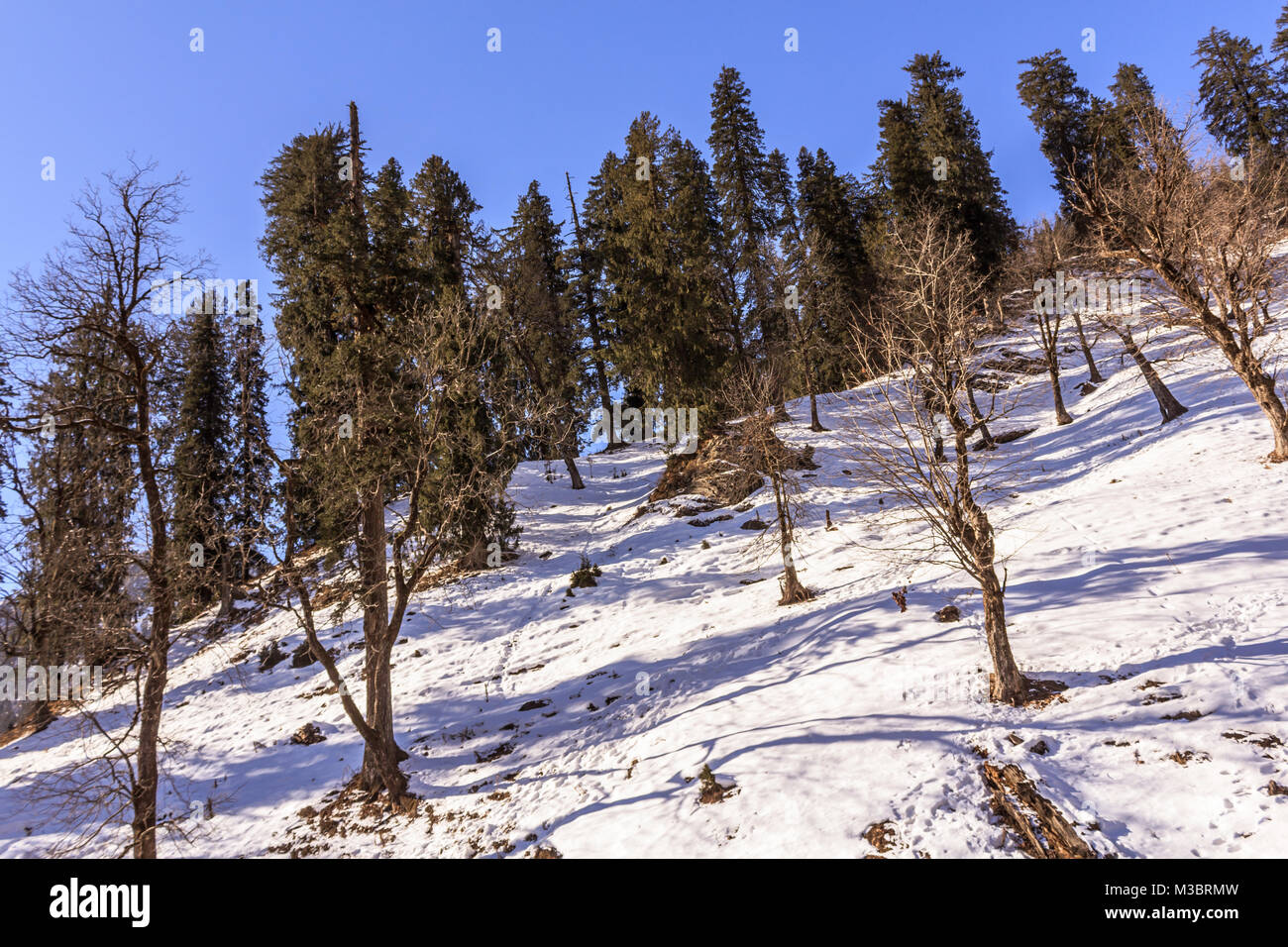 Amazing landscape with mountains sea blue sky sun and beautiful ...