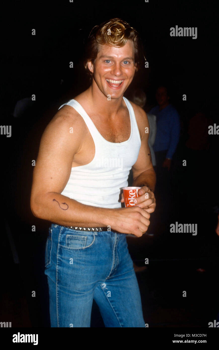 LOS ANGELES, CA - NOVEMBER 5: Actor Byron Cherry attends Hart to Hart ...