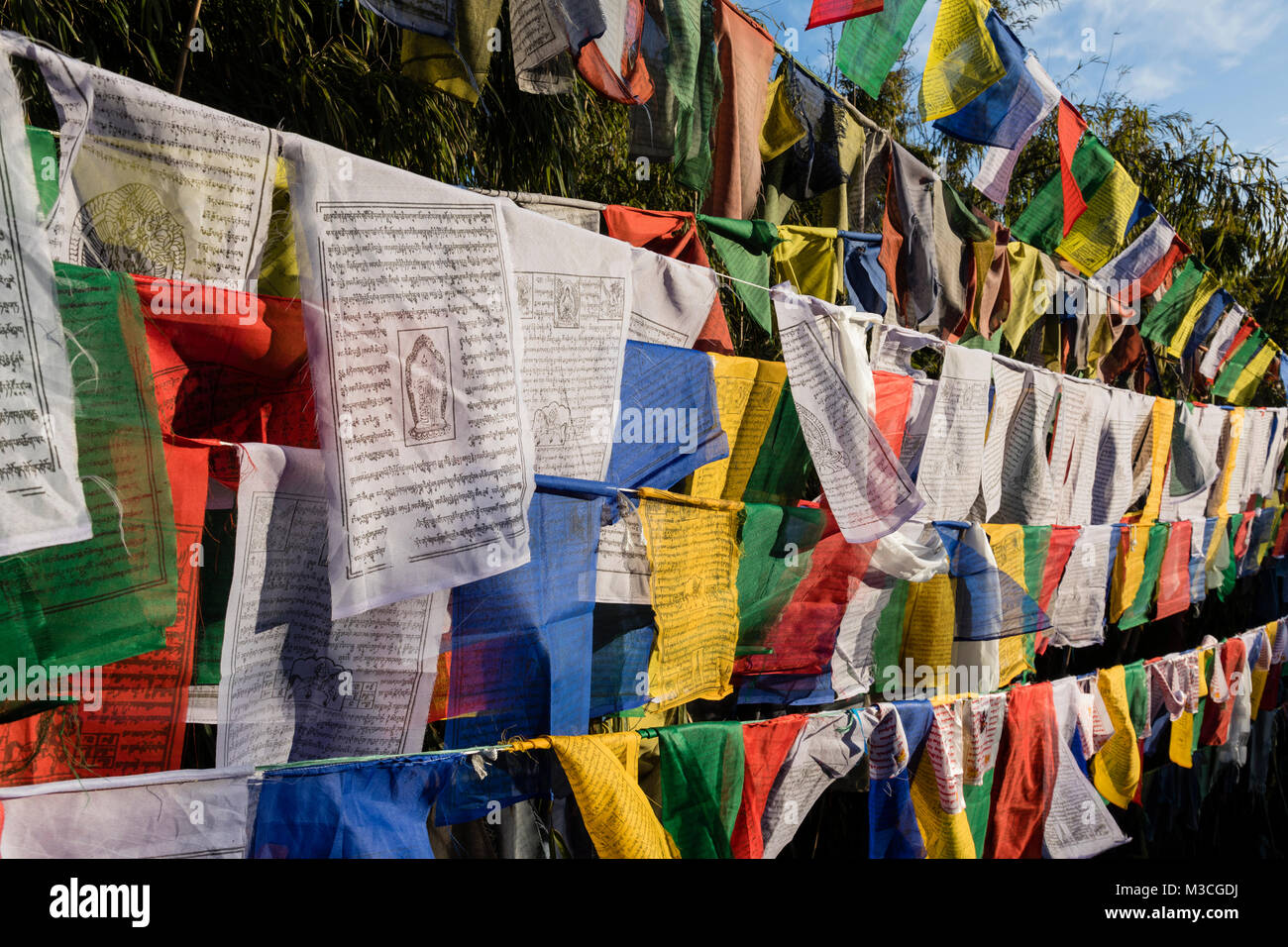 Colorful buddhism prayer flags on the Observatory hill in Darjeeling ...