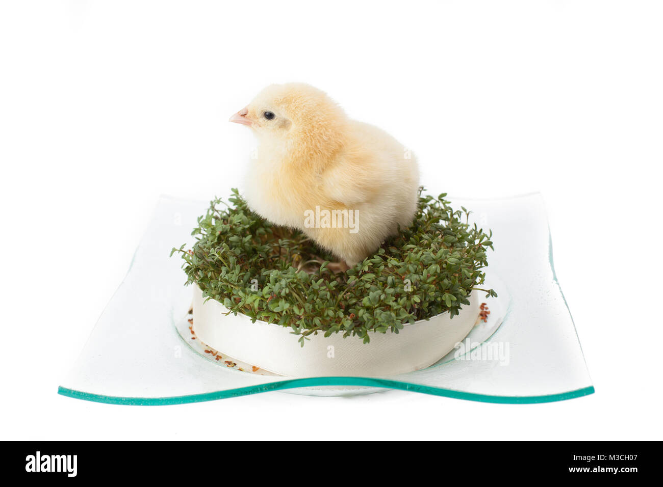 Fluffy edges Cut Out Stock Images & Pictures - Alamy