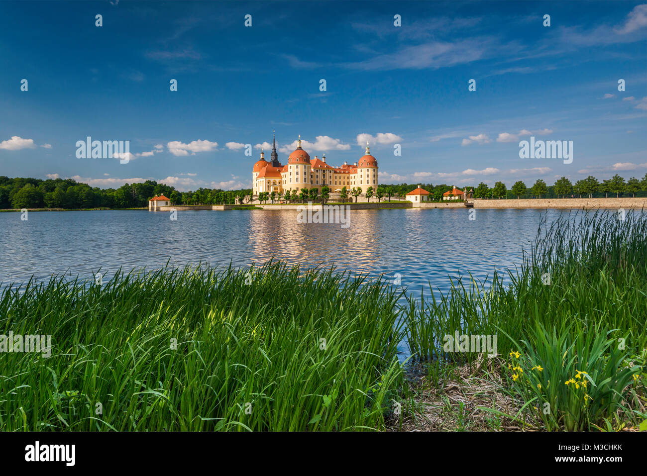 Schloss Moritzburg, Baroque castle on artificial island on lake ...