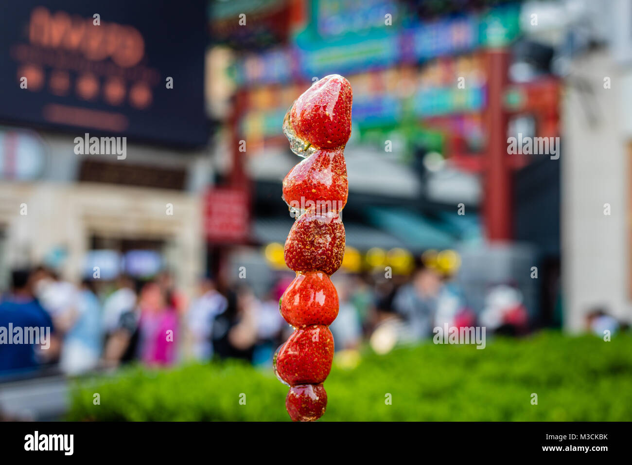 Strawberry skewers in crispy caramel, street food in Beijing, China ...