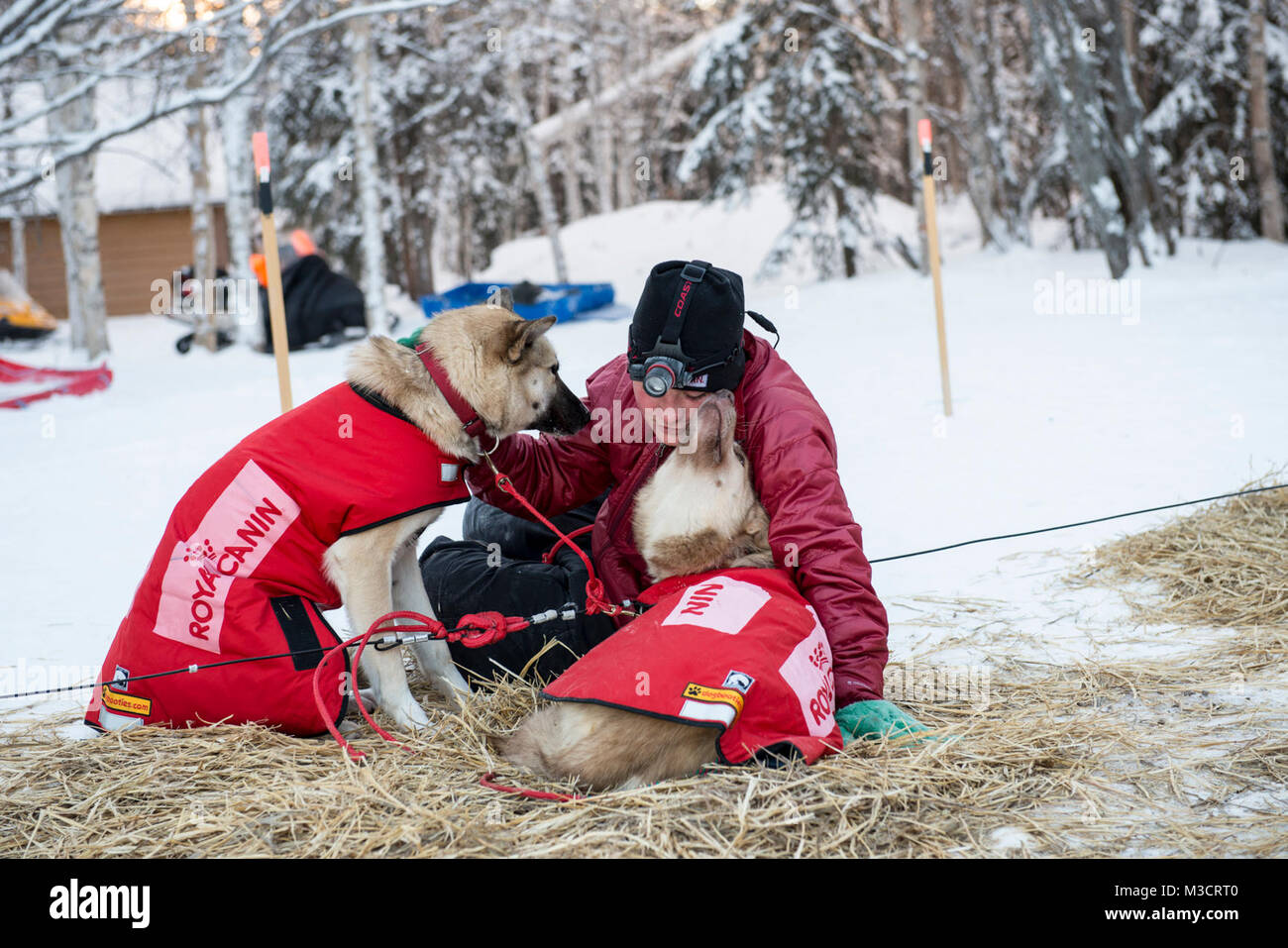Yukon quest hi-res stock photography and images - Alamy