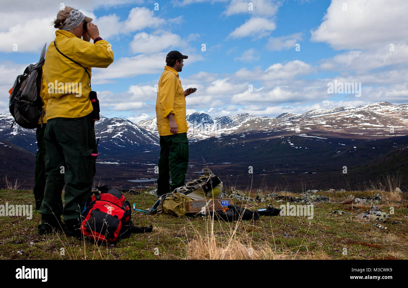 NPS Archeologists scour the landscape for potential archeological sites ...