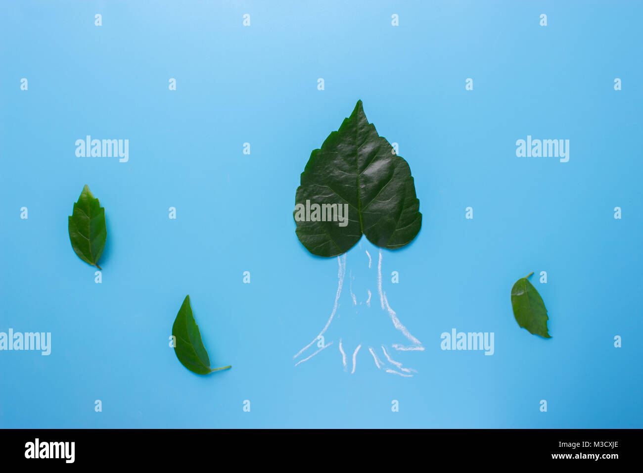 Green cut out paper tree on blue background Stock Photo - Alamy