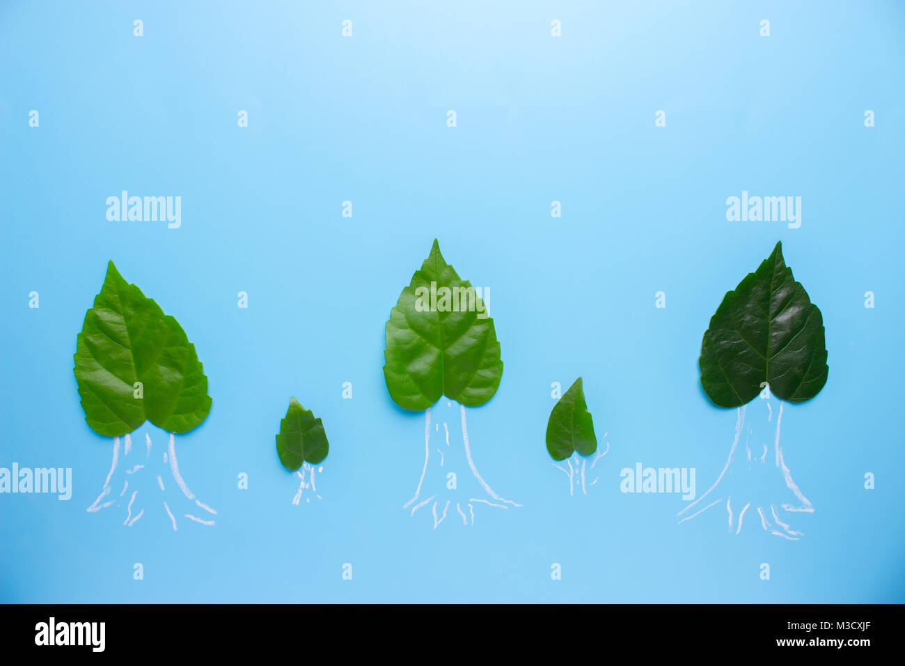 Green cut out paper tree on blue background Stock Photo - Alamy