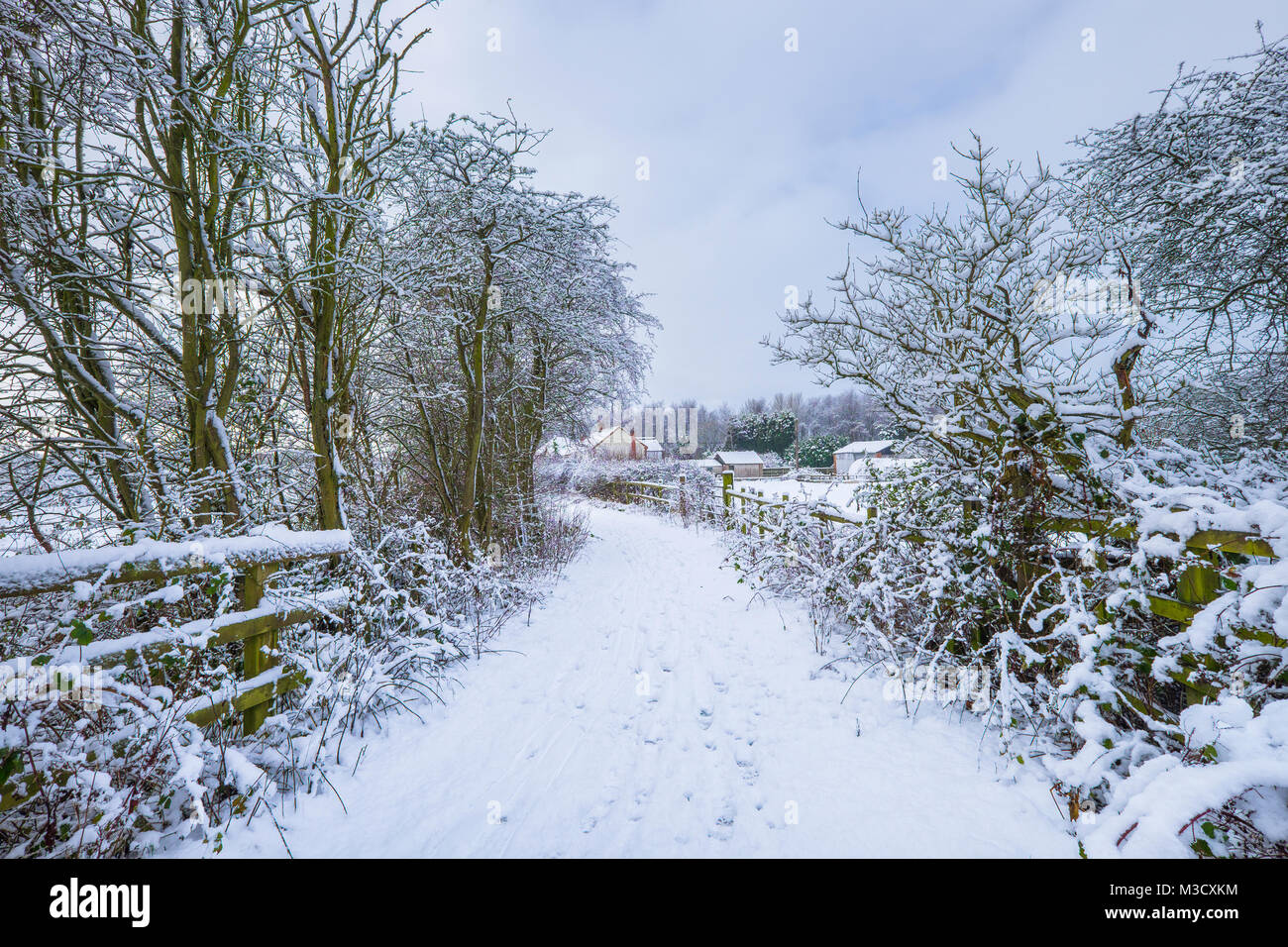 A country lane in winter Stock Photo - Alamy